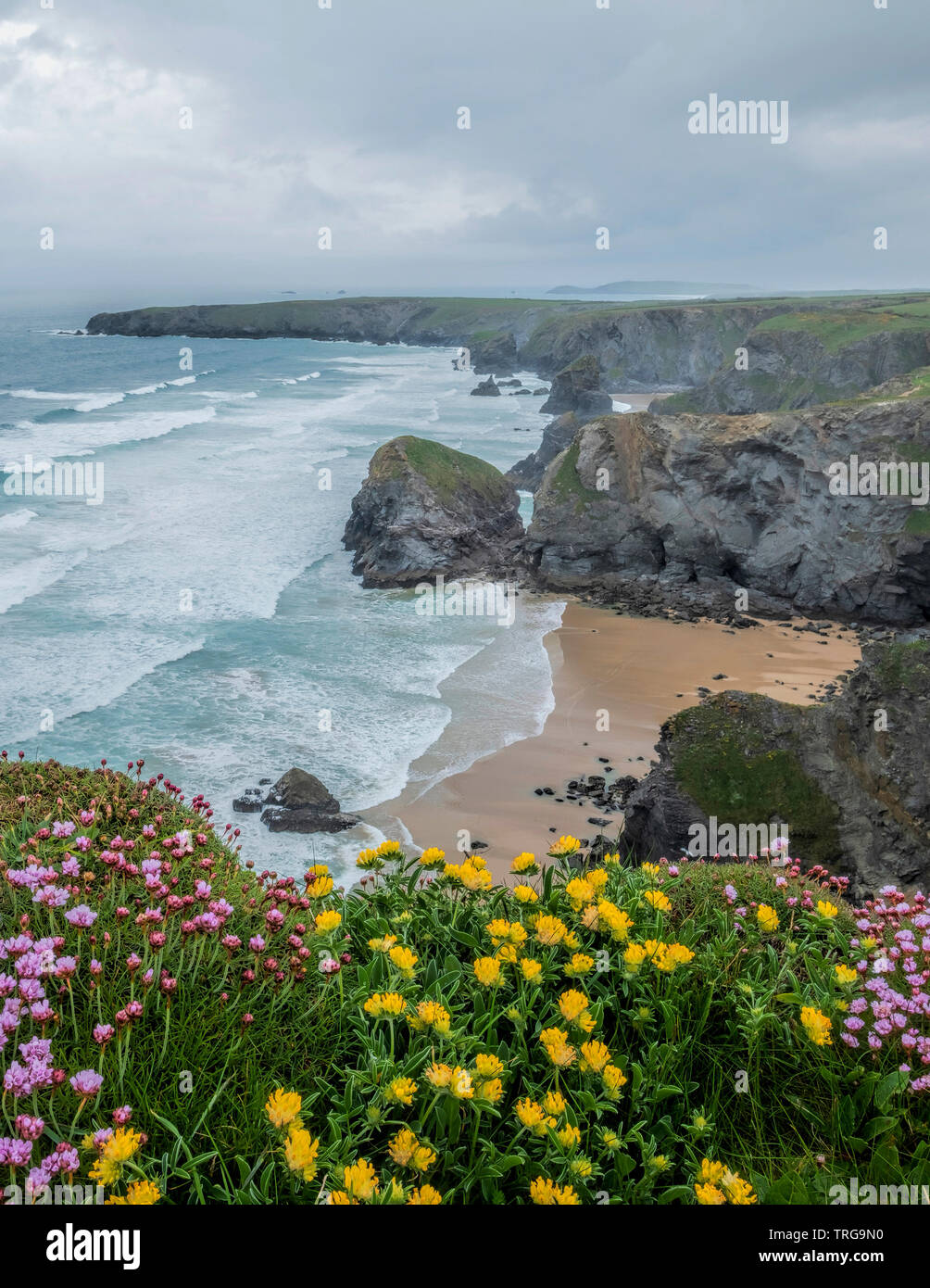Cornish stone steps hi-res stock photography and images - Alamy