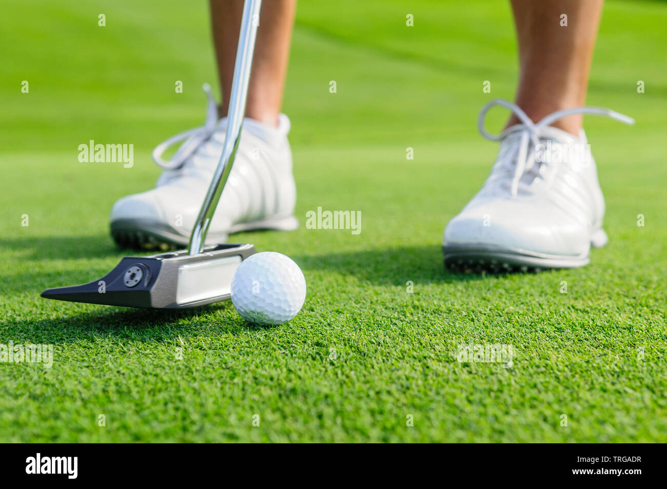Female golf player putting a ball on green Stock Photo - Alamy