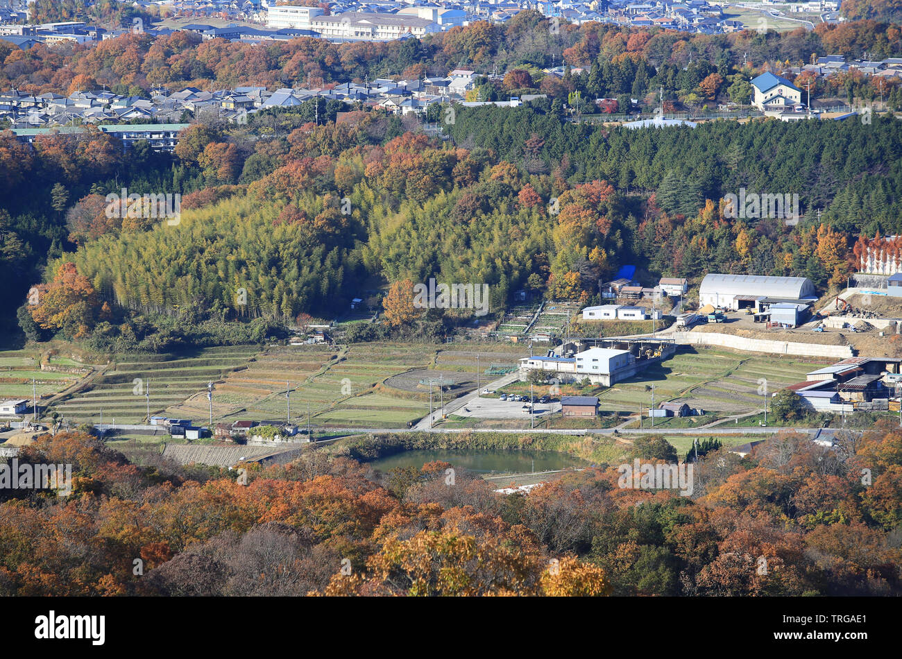 the nara field drone view in japan Stock Photo - Alamy