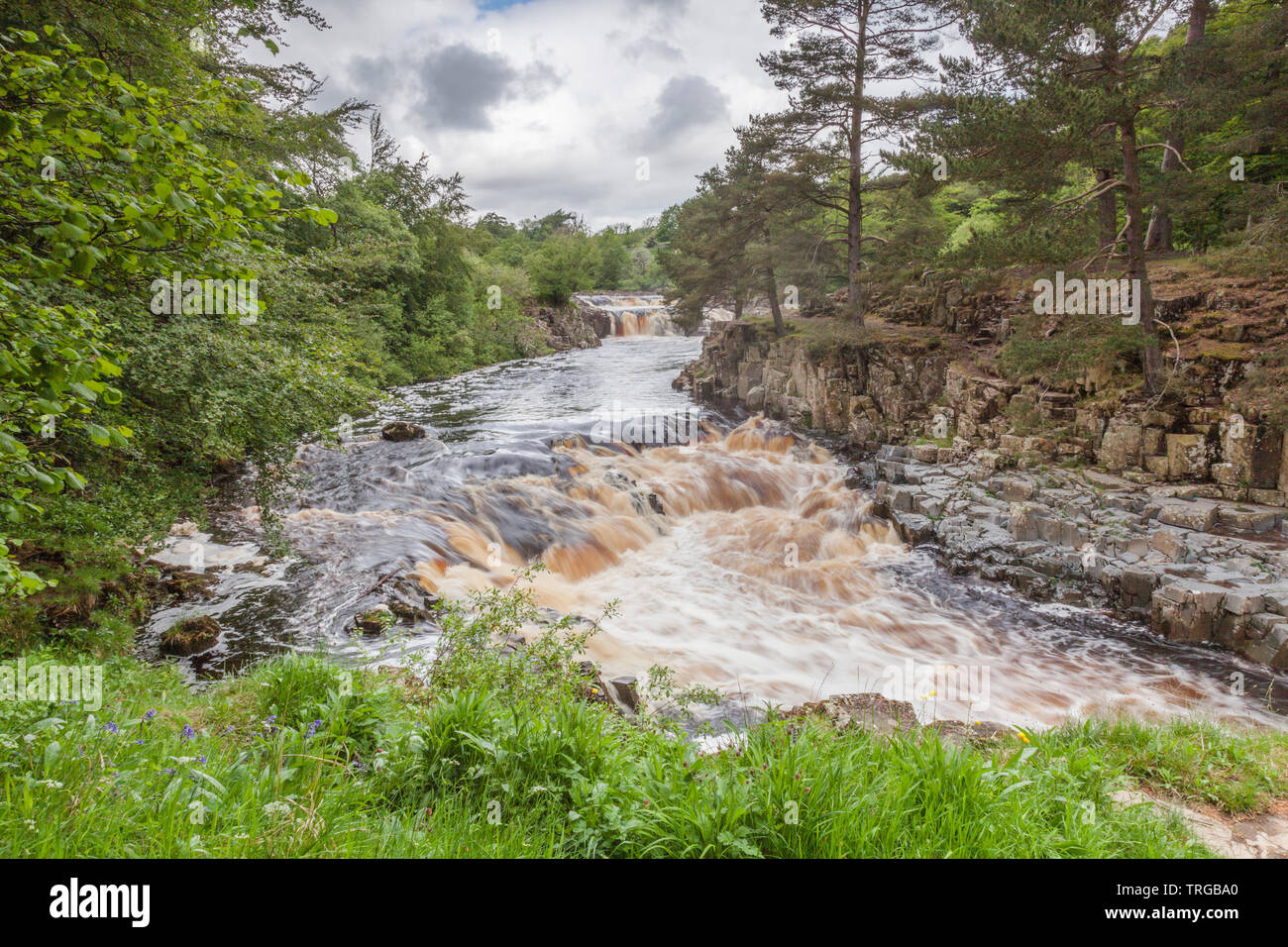 Low Force waterfalls near Middleton-in-Teesdale, England, UK Stock ...