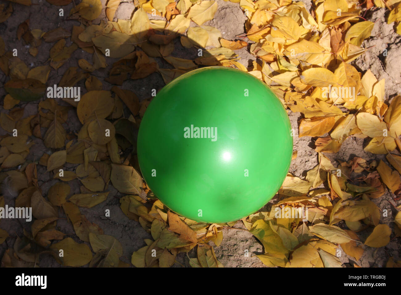 Kids playing basketball gym hi-res stock photography and images - Alamy