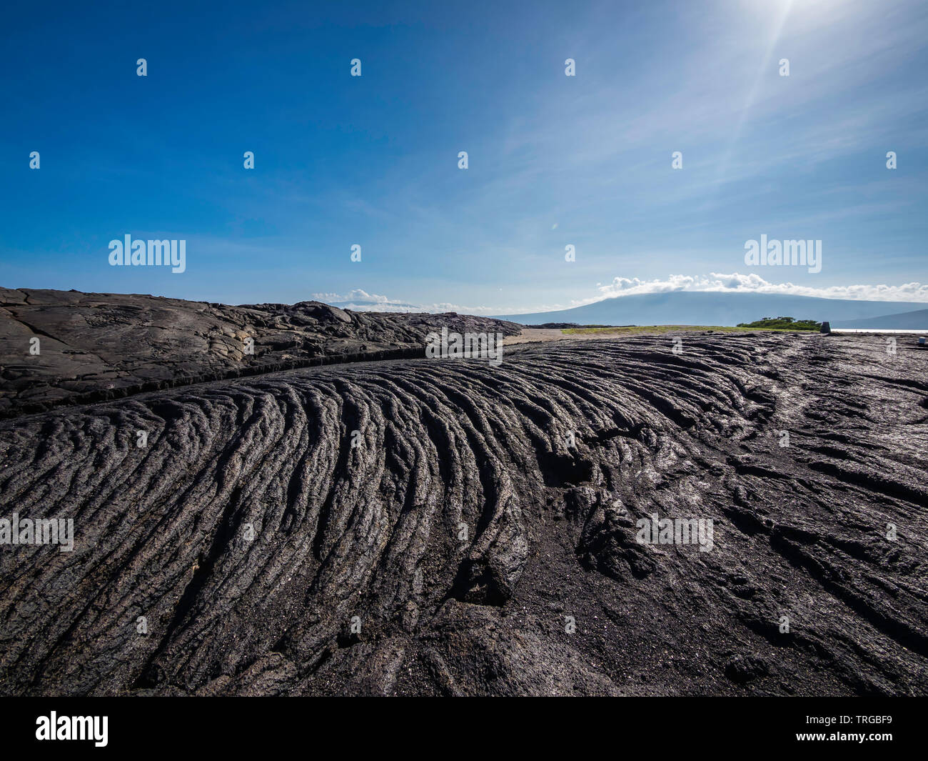 Beautiful volcanic landscape of Punta Moreno in Isabela Island ...