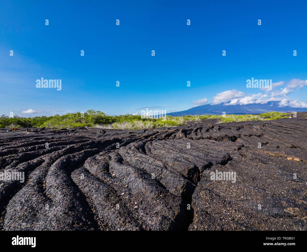 Beautiful volcanic landscape of Punta Moreno in Isabela Island ...