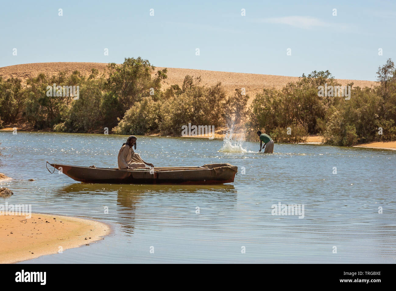 Fish in the nile hi-res stock photography and images - Alamy