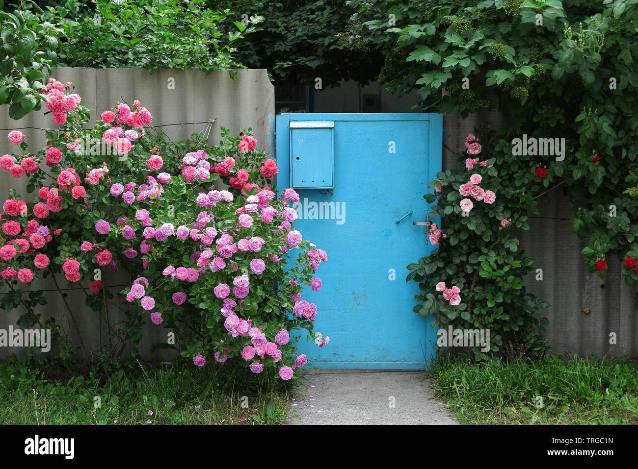 Side entrance gate hi-res stock photography and images - Alamy