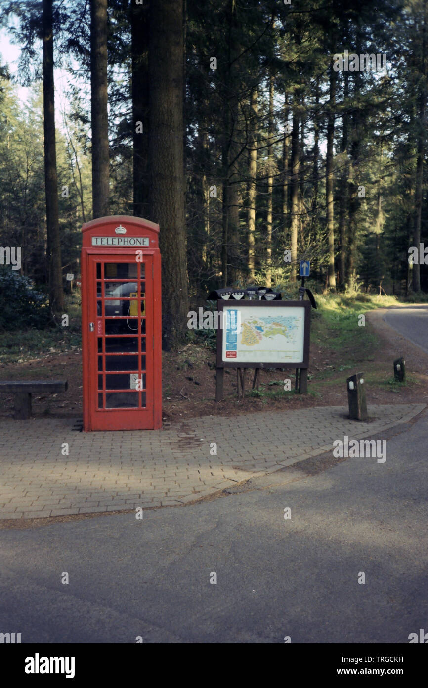 Center Parcs Longleat, Wiltshire, England, United Kingdom Stock Photo ...