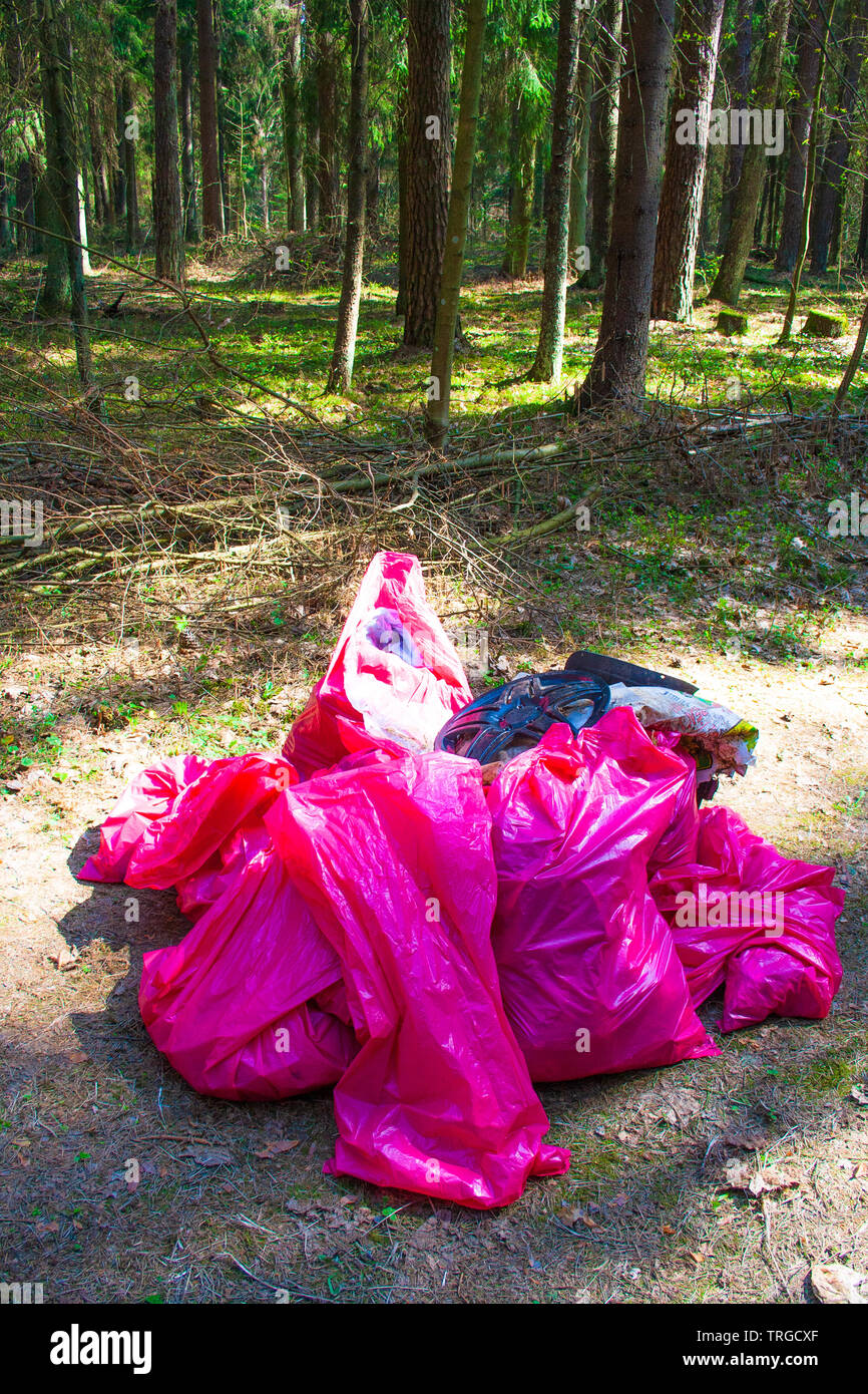 Collecting or picking up trash, garbage and plastic for cleaning in a ...