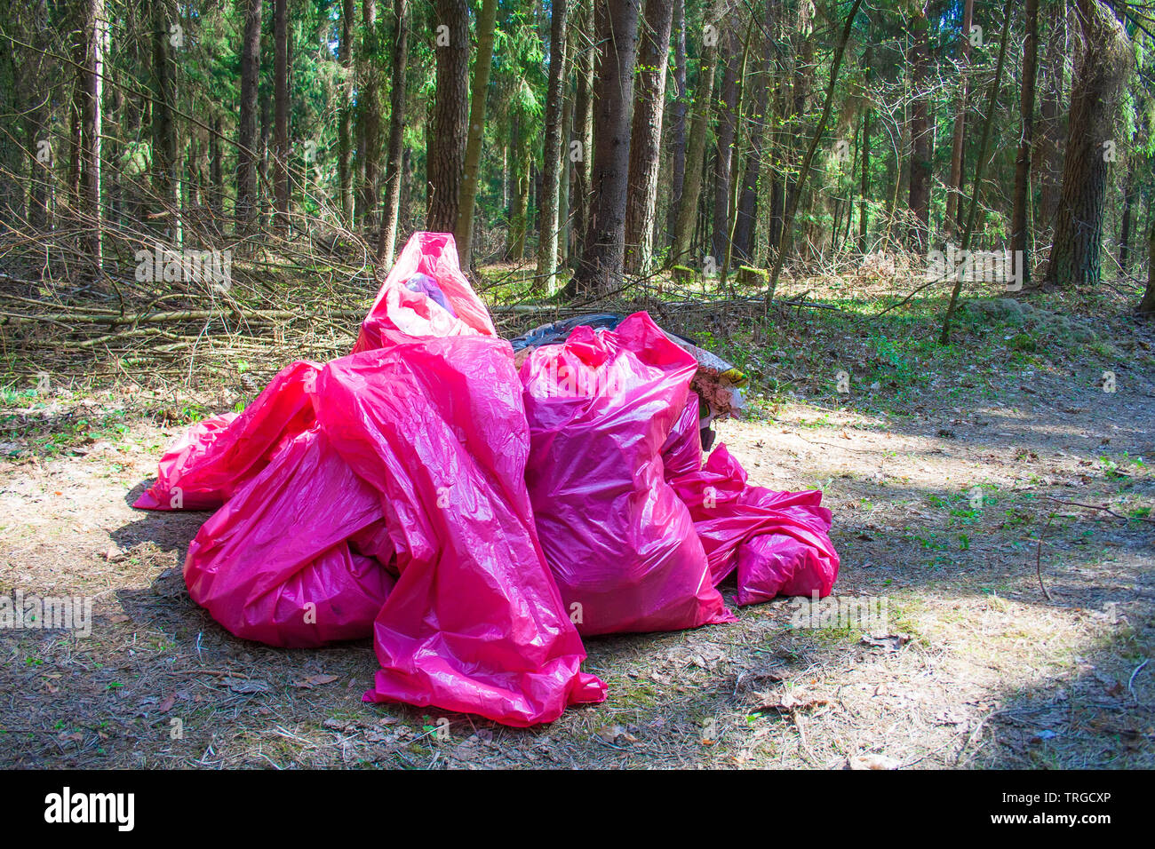 Collecting or picking up trash, garbage and plastic for cleaning in a ...