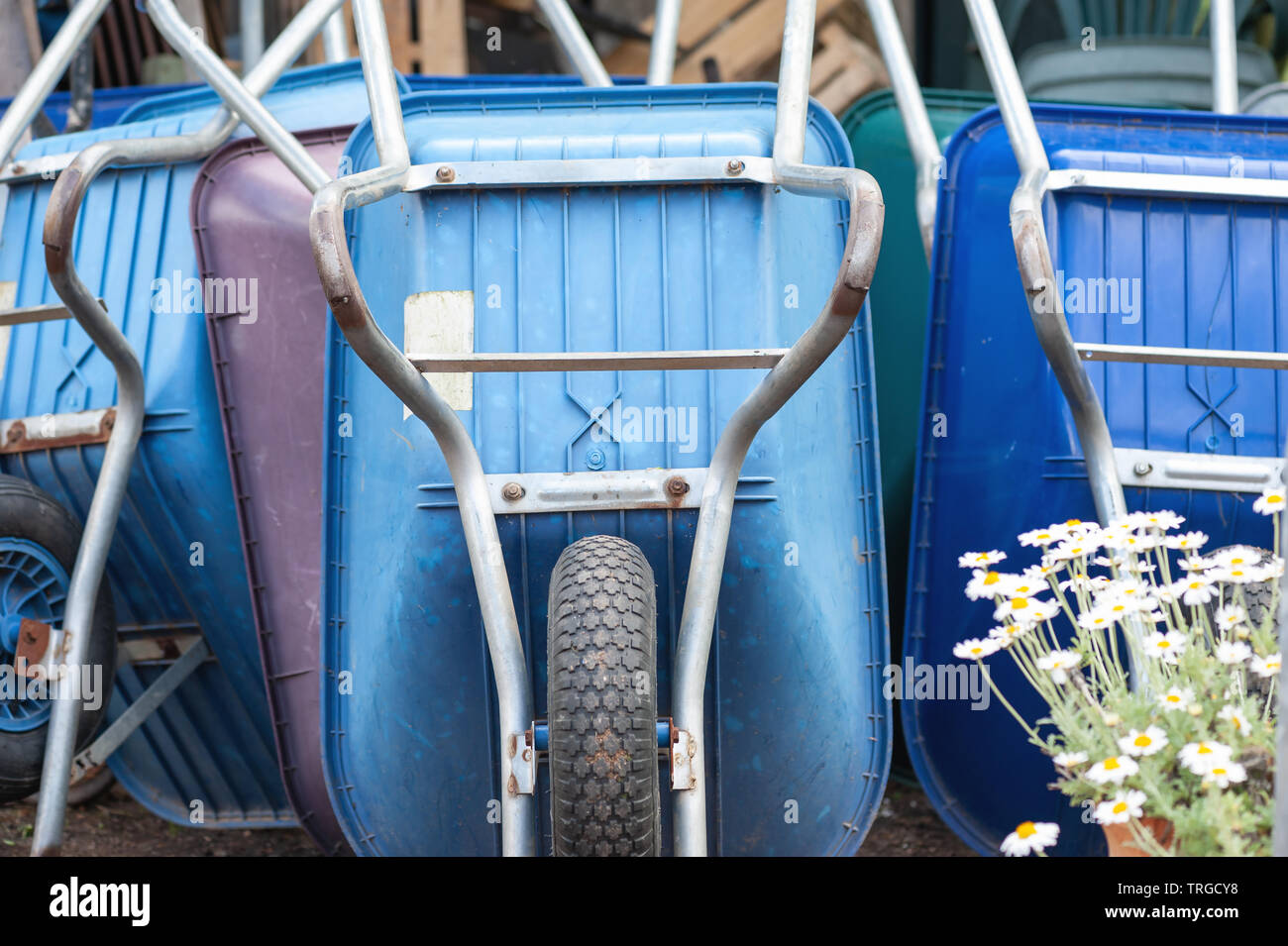 Blue wheelbarrows hi-res stock photography and images - Alamy