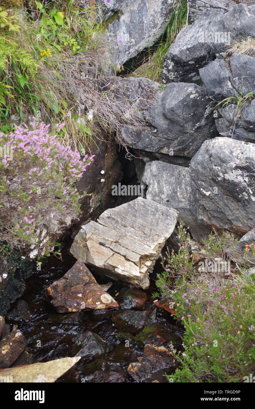 Middle Jurassic Lias Limestone Outcrop. Loch Slapin, Isle of Skye ...