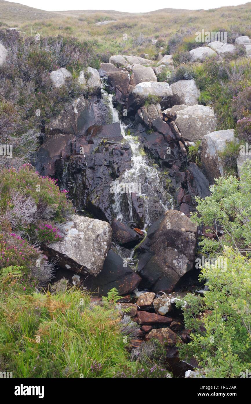 Highland Burn Flowing in a Gully through Middle Jurassic Lias Limestone ...