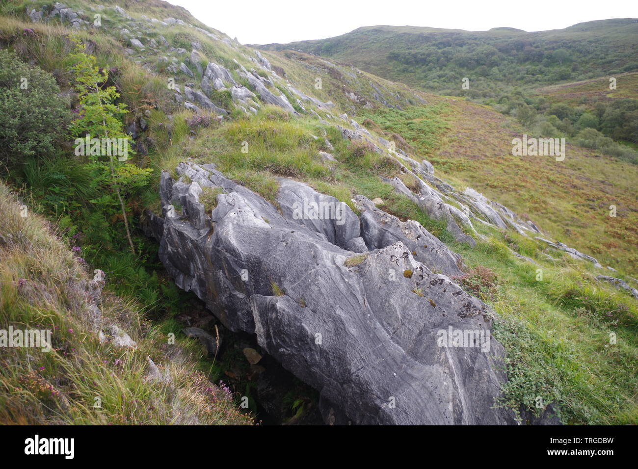 Crevice / Small Cave in Middle Jurassic Lias Limestone Outcrop. Loch ...