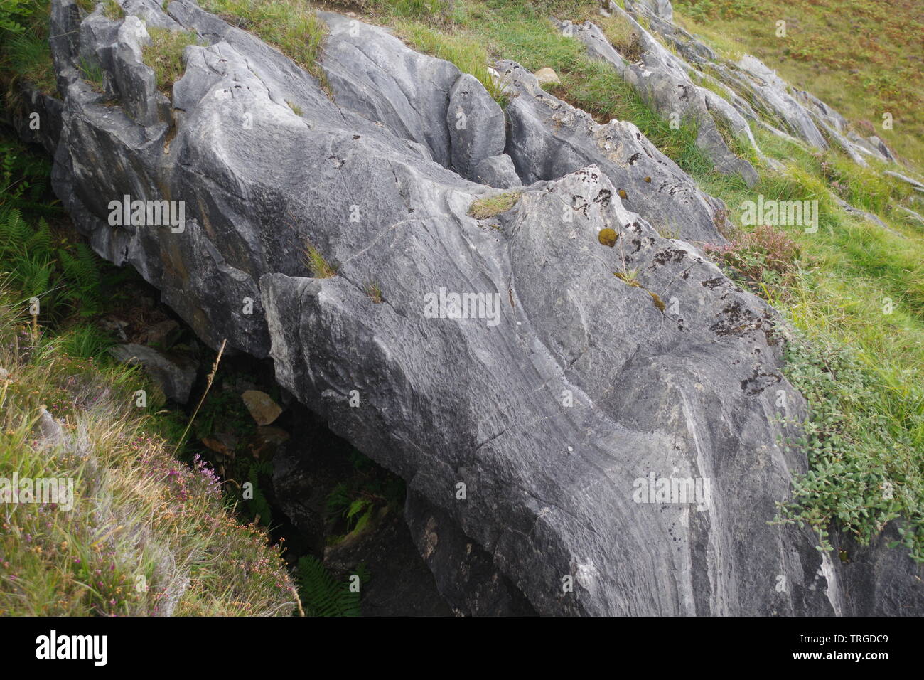 Crevice / Small Cave in Middle Jurassic Lias Limestone Outcrop. Loch ...