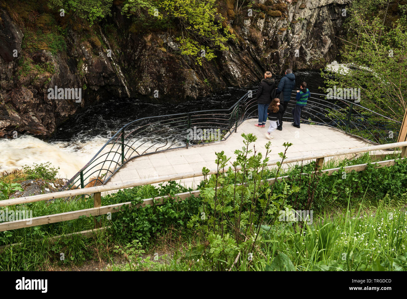 Shin forest hi-res stock photography and images - Alamy