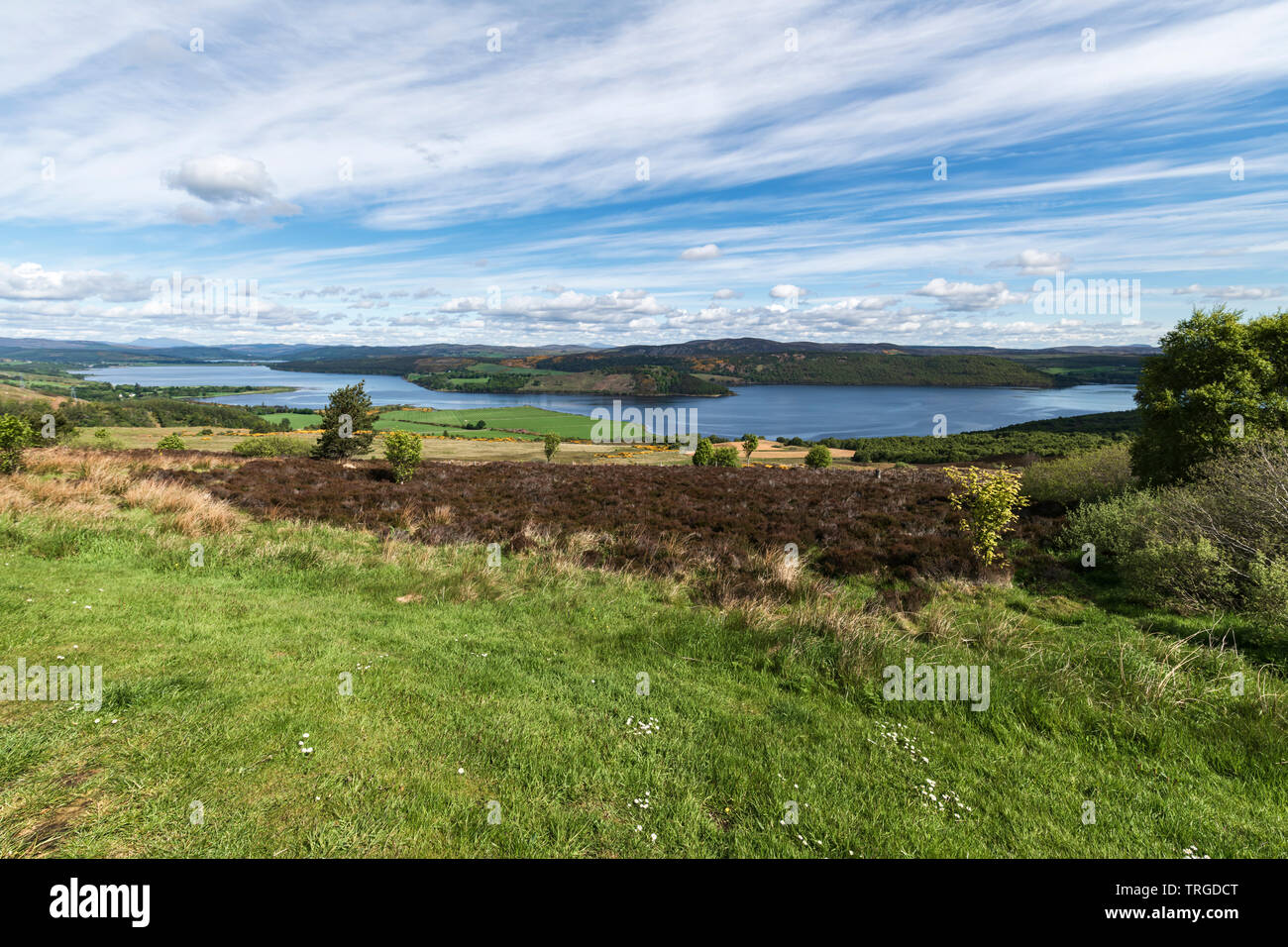 Fern scotland heather hi-res stock photography and images - Alamy