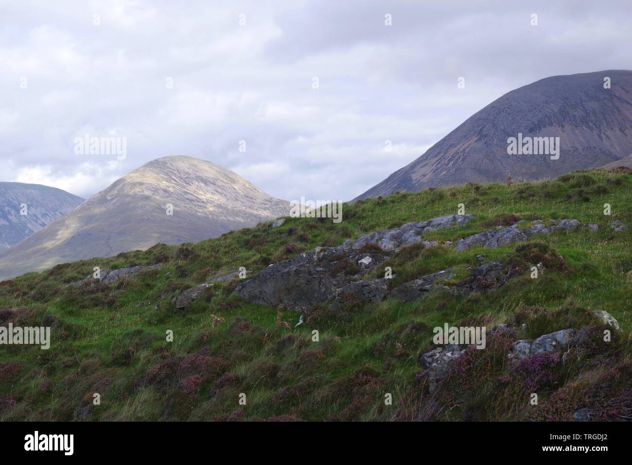 Low rounded hills hi-res stock photography and images - Alamy