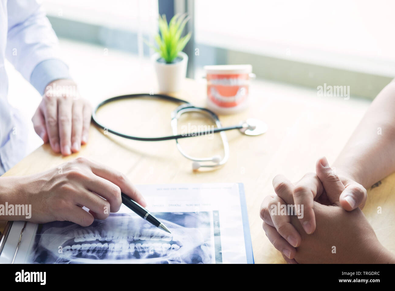 Dental hygienist demonstrating and showing a dummy jaw to chack-up or ...