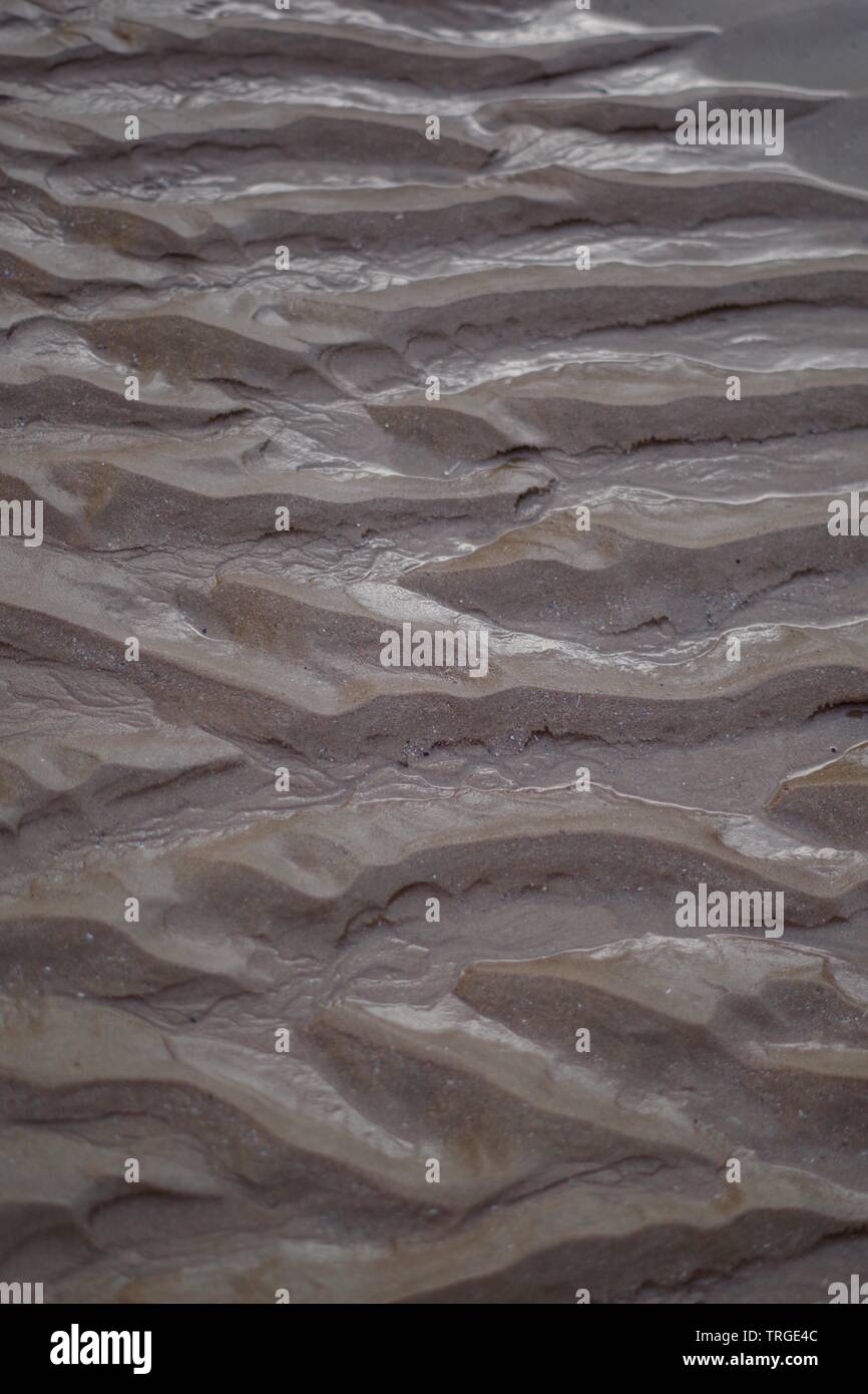Sedimentary Bedform Structure of Symmetrical Beach Ripples. Aberdeen ...