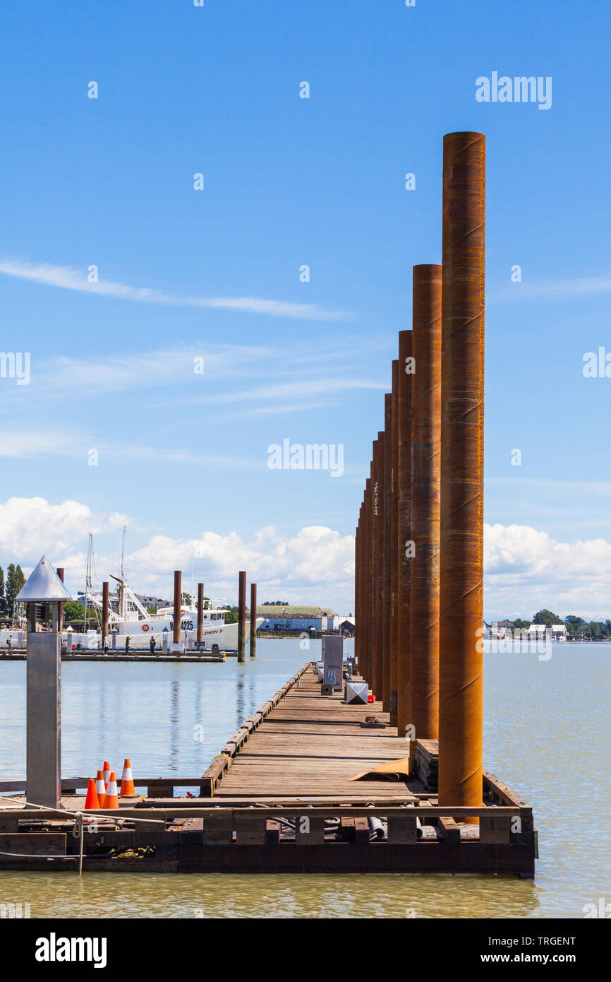 Steel alignment pilings exposed during an extremely low tide in ...