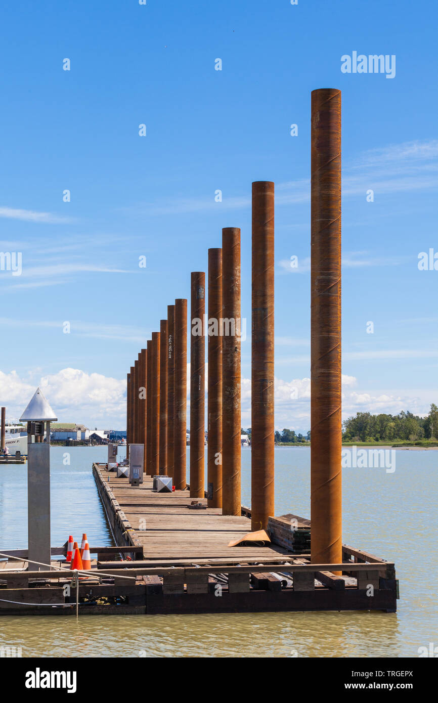 Steel alignment pilings exposed during an extremely low tide in ...