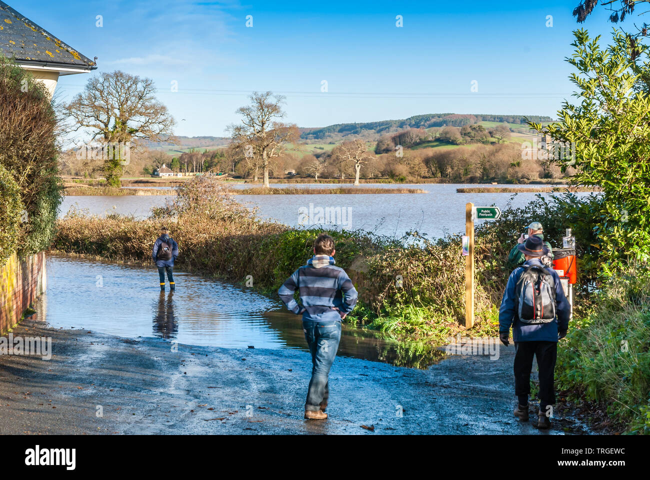 Flooding in the river Otter valley. When high tide and rain come ...