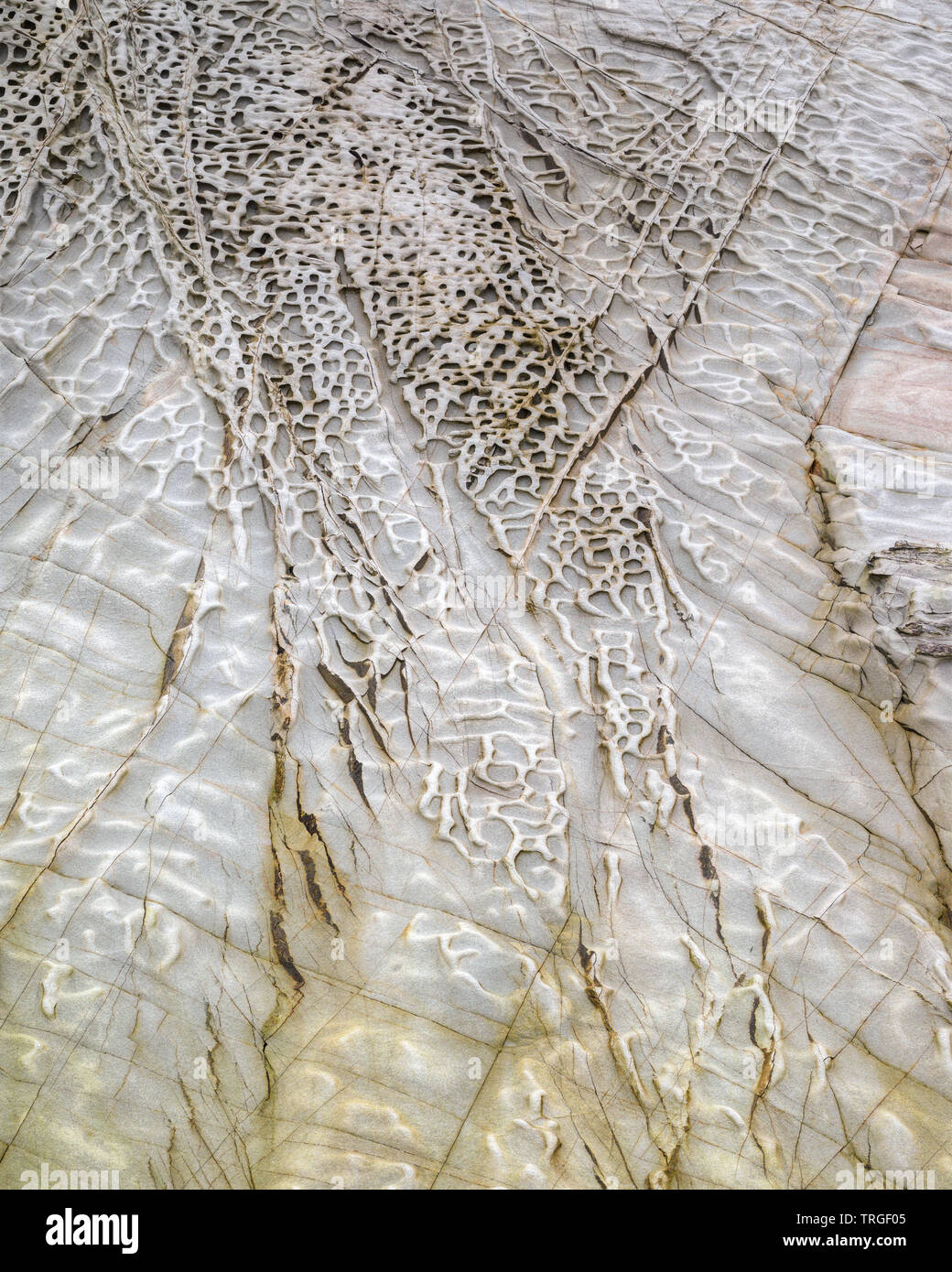 Rock geology honeycomb pattern hi-res stock photography and images - Alamy