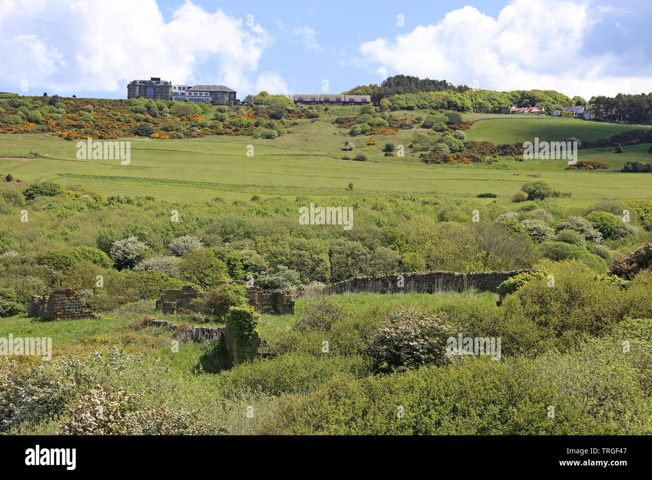 Raven hall hotel ravenscar yorkshire hi-res stock photography and ...
