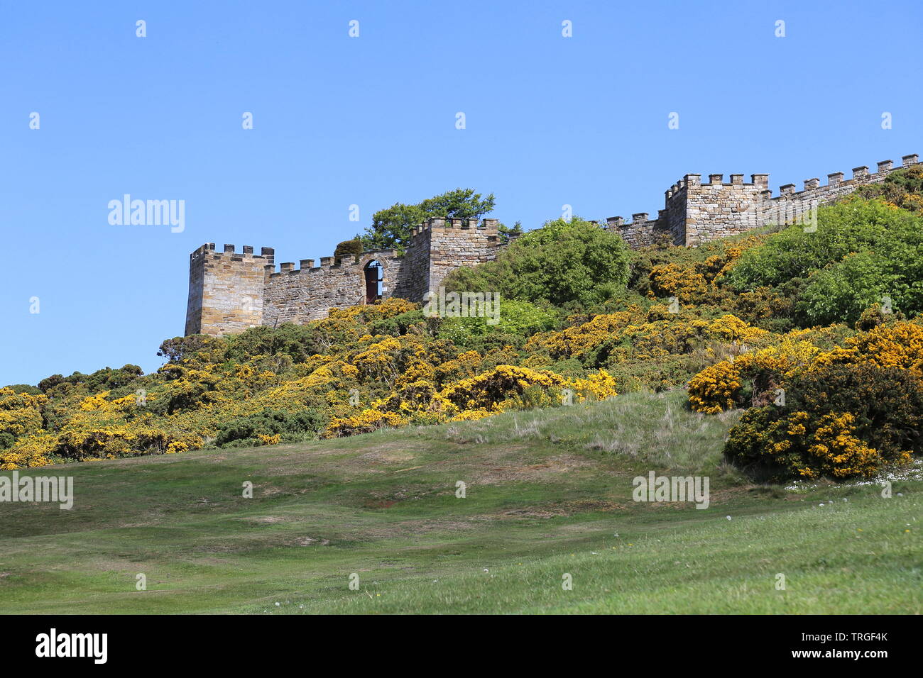 Mock castle hi-res stock photography and images - Alamy