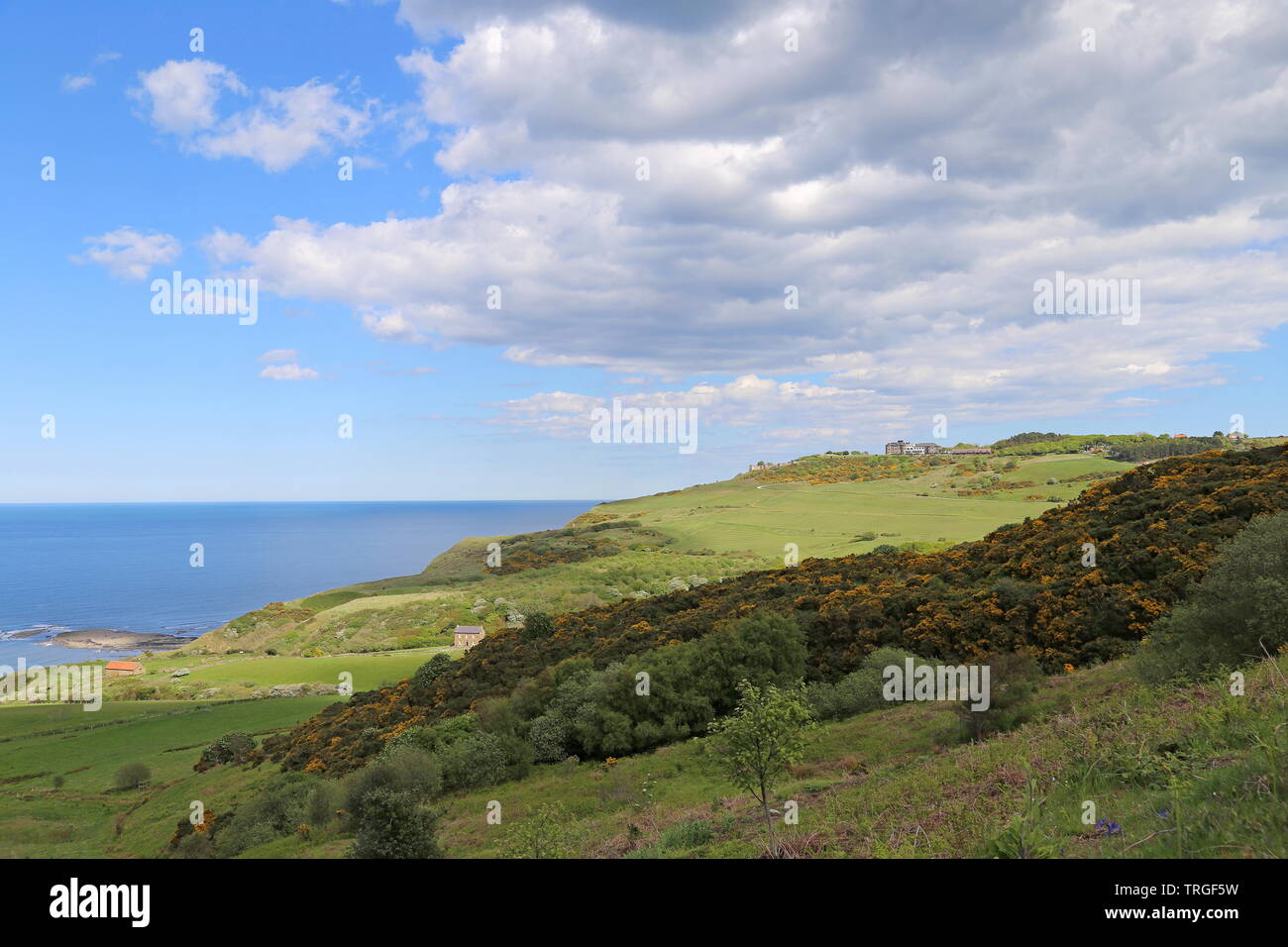 Peak Alum Works and Raven Hall Hotel, from Cinder Track, Ravenscar ...