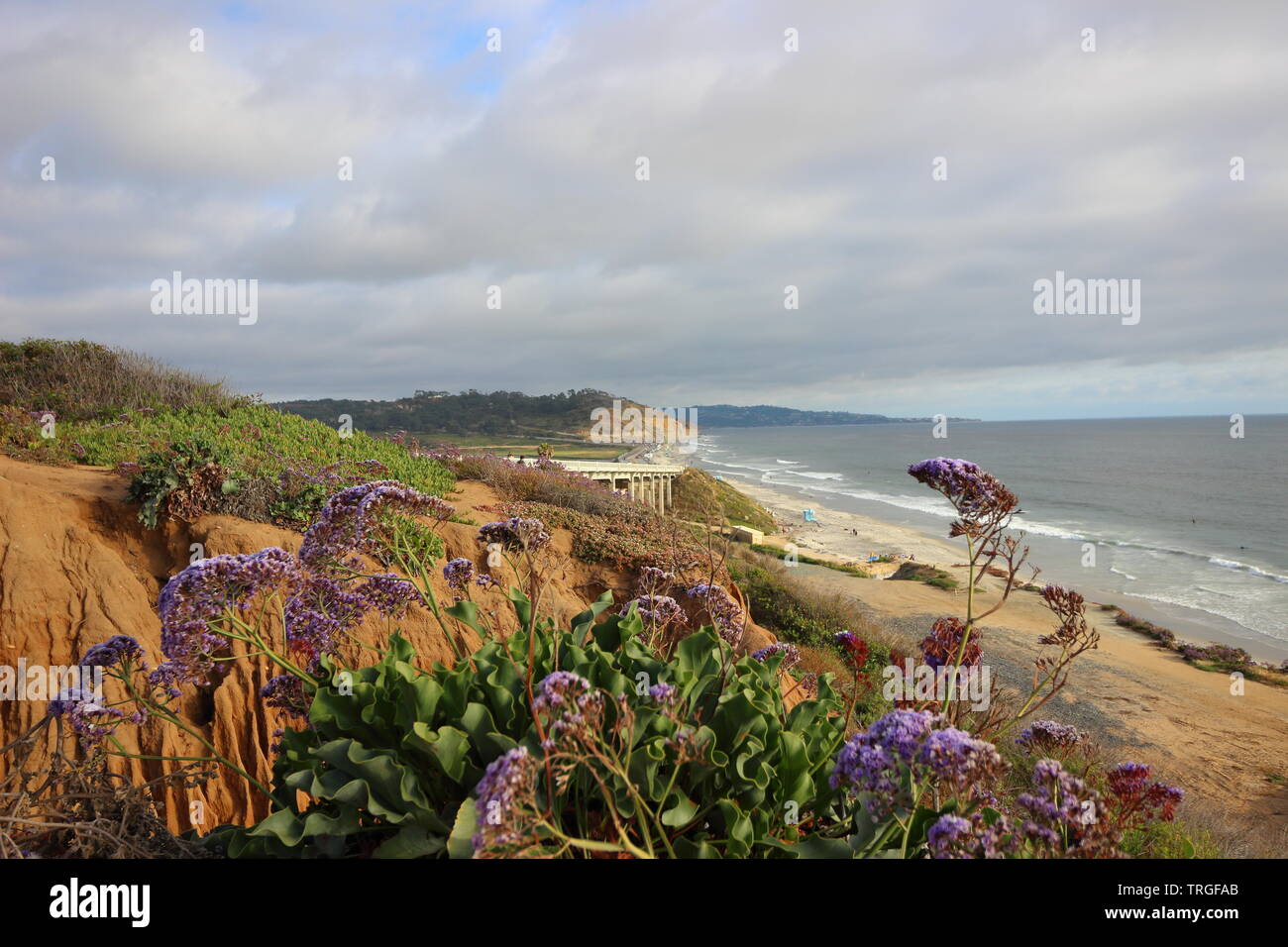 Torrey Pines Beach and Cliffs Stock Photo - Alamy