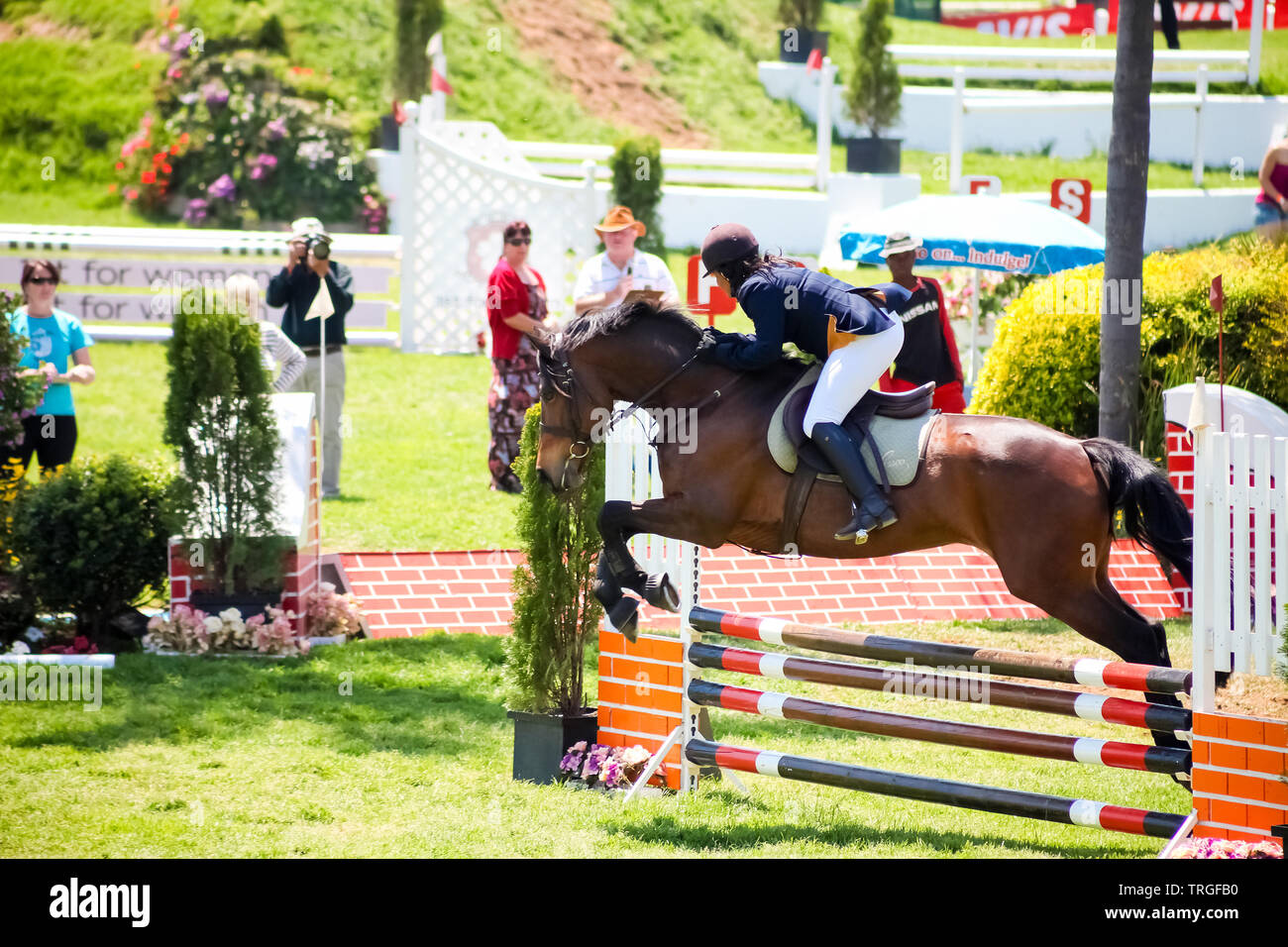 Johannesburg, South Africa - October 08 2011: Equestrian Show Jumping ...