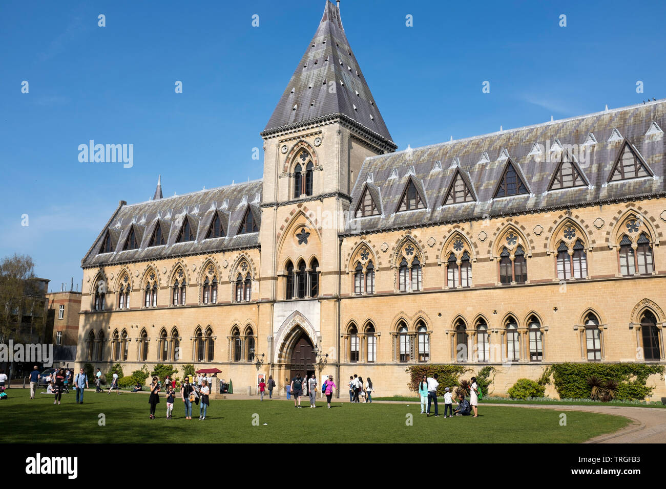 Pitt rivers hi-res stock photography and images - Alamy