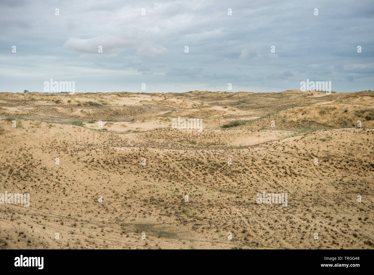 Desert Oleshky Sands or Oleshky Desert, second largest desert of Europe ...
