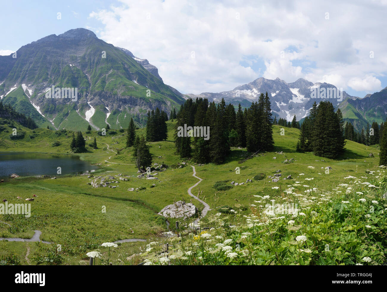 Bregenzerwald Austria Stock Photos & Bregenzerwald Austria Stock Images ...