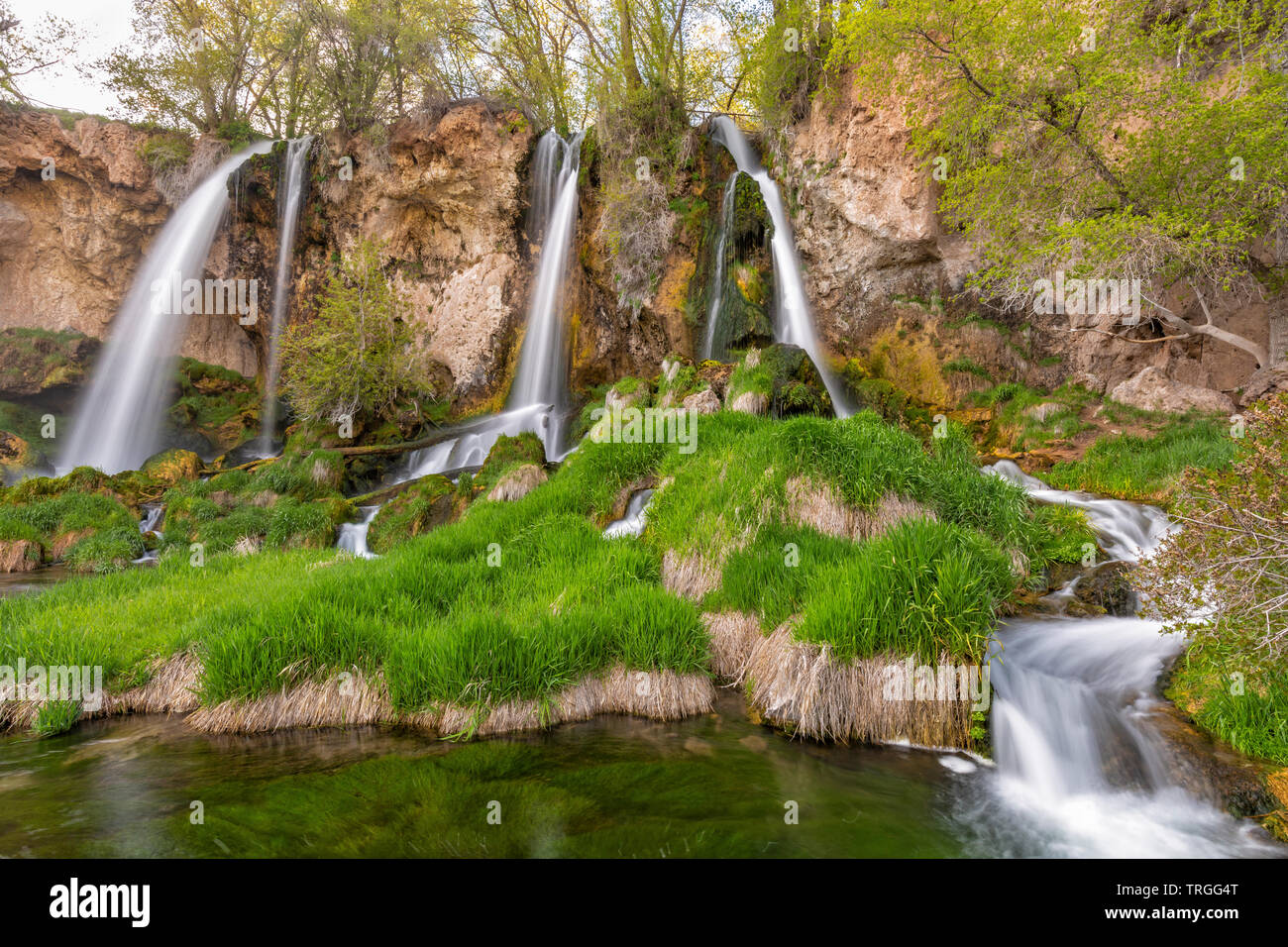 A long exposure of a triple falls at Rifle Falls in the lush Springtime ...