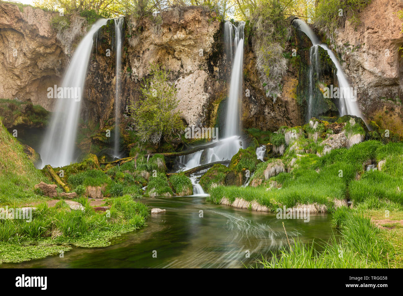 A long exposure of a triple falls at Rifle Falls in the lush Springtime ...