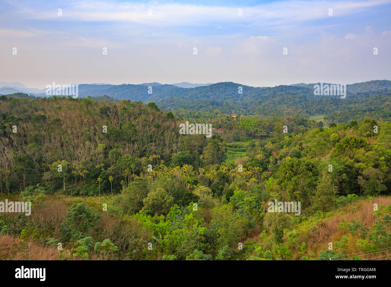 Wayanad Landscape (Kerala, India Stock Photo - Alamy