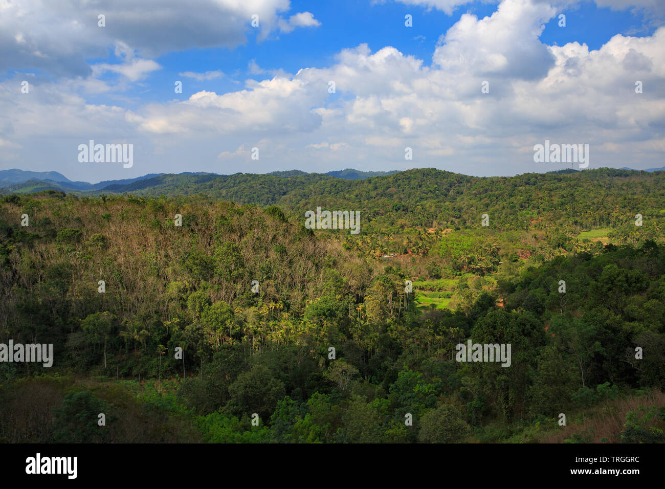 Beautiful Landscape of Wayanad (Kerala, India Stock Photo - Alamy