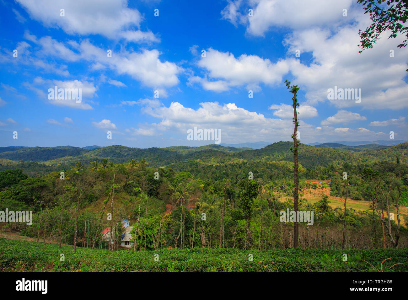 Beautiful Landscape of Wayanad (Kerala, India Stock Photo - Alamy