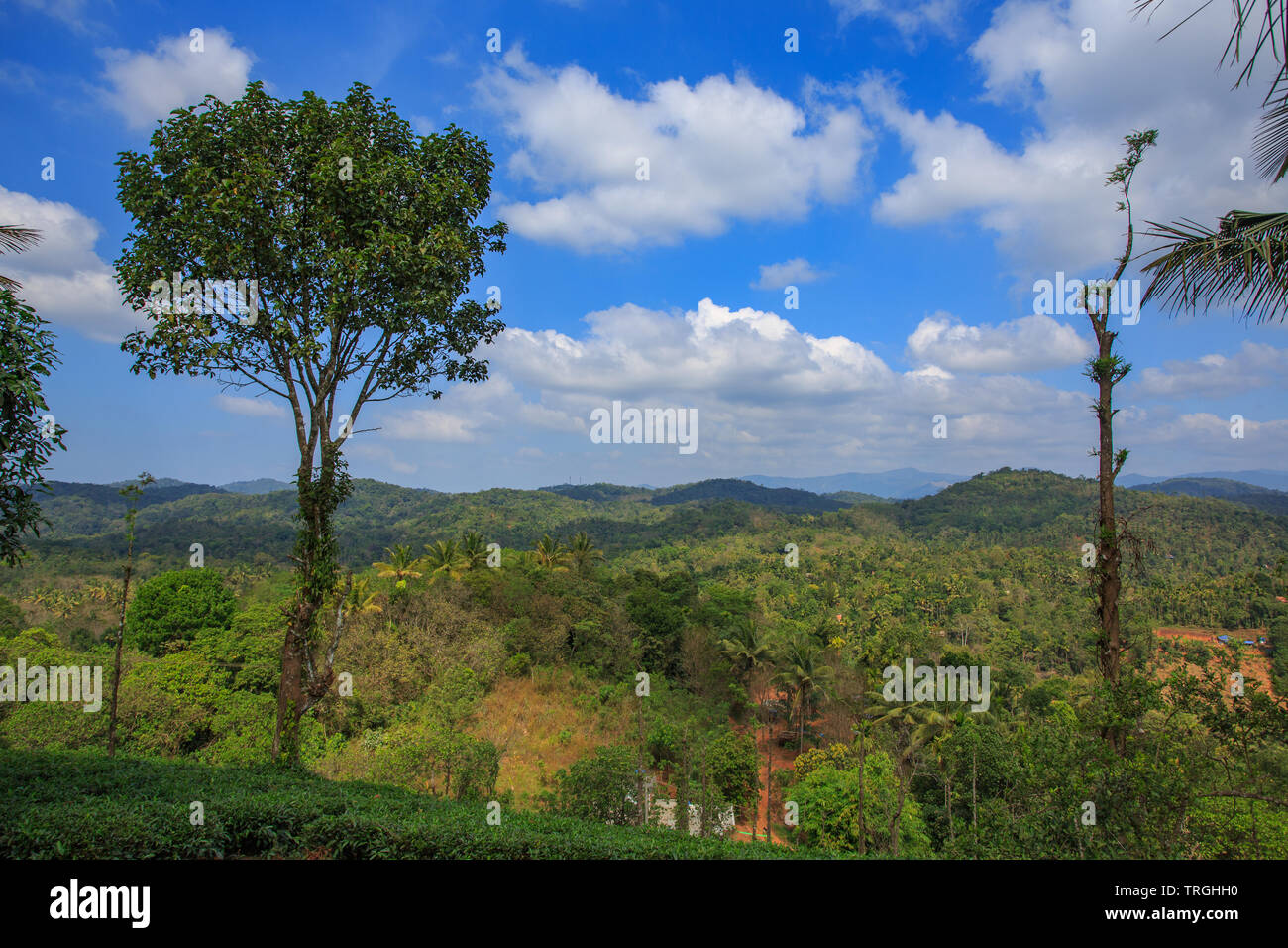 Beautiful Landscape of Wayanad (Kerala, India Stock Photo - Alamy