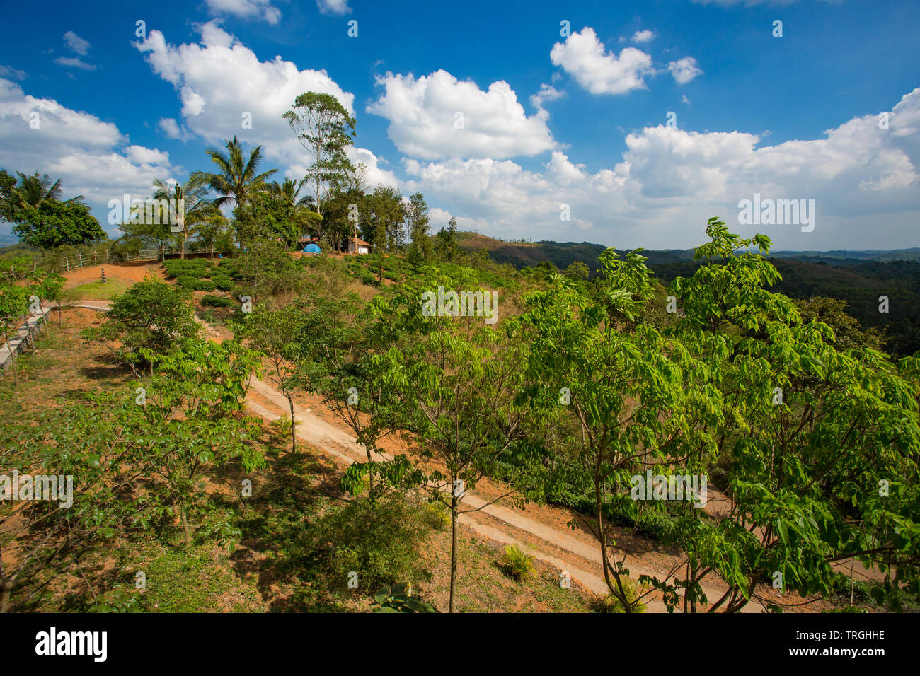 Waynad mountain hi-res stock photography and images - Alamy