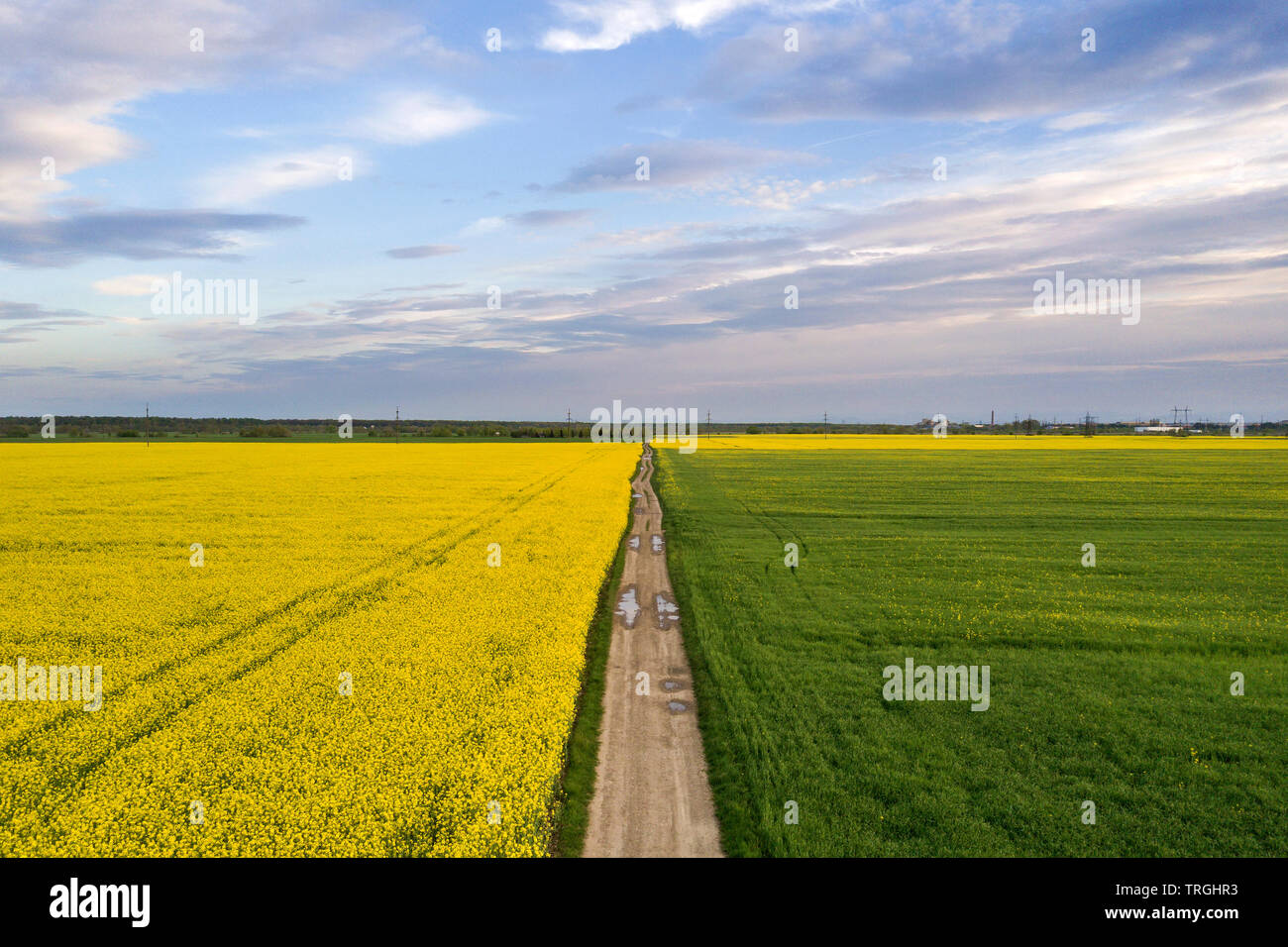 Aerial view of straight ground road with rain puddles in green fields ...