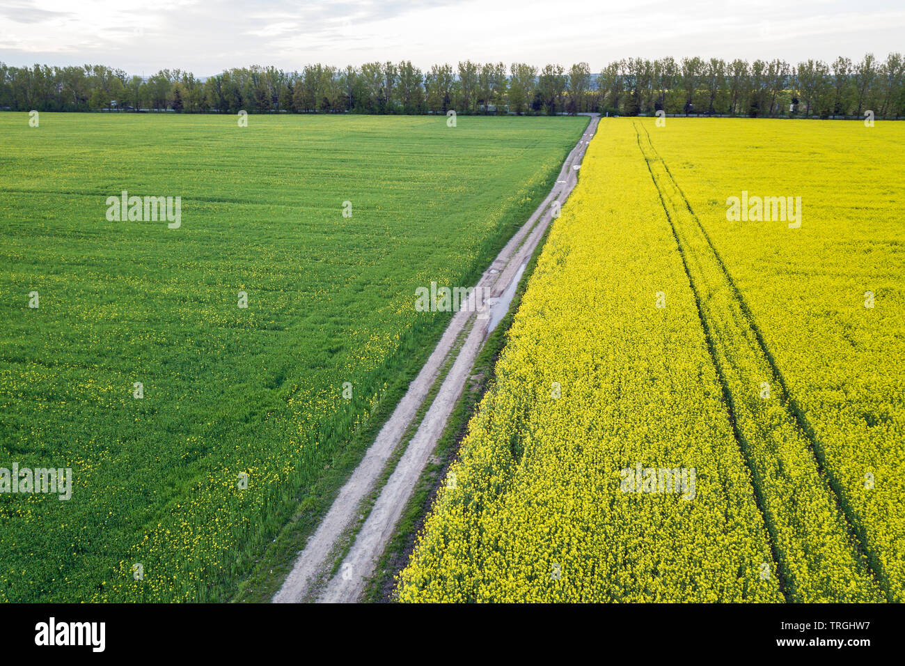 Aerial view of straight ground road with rain puddles in green fields ...