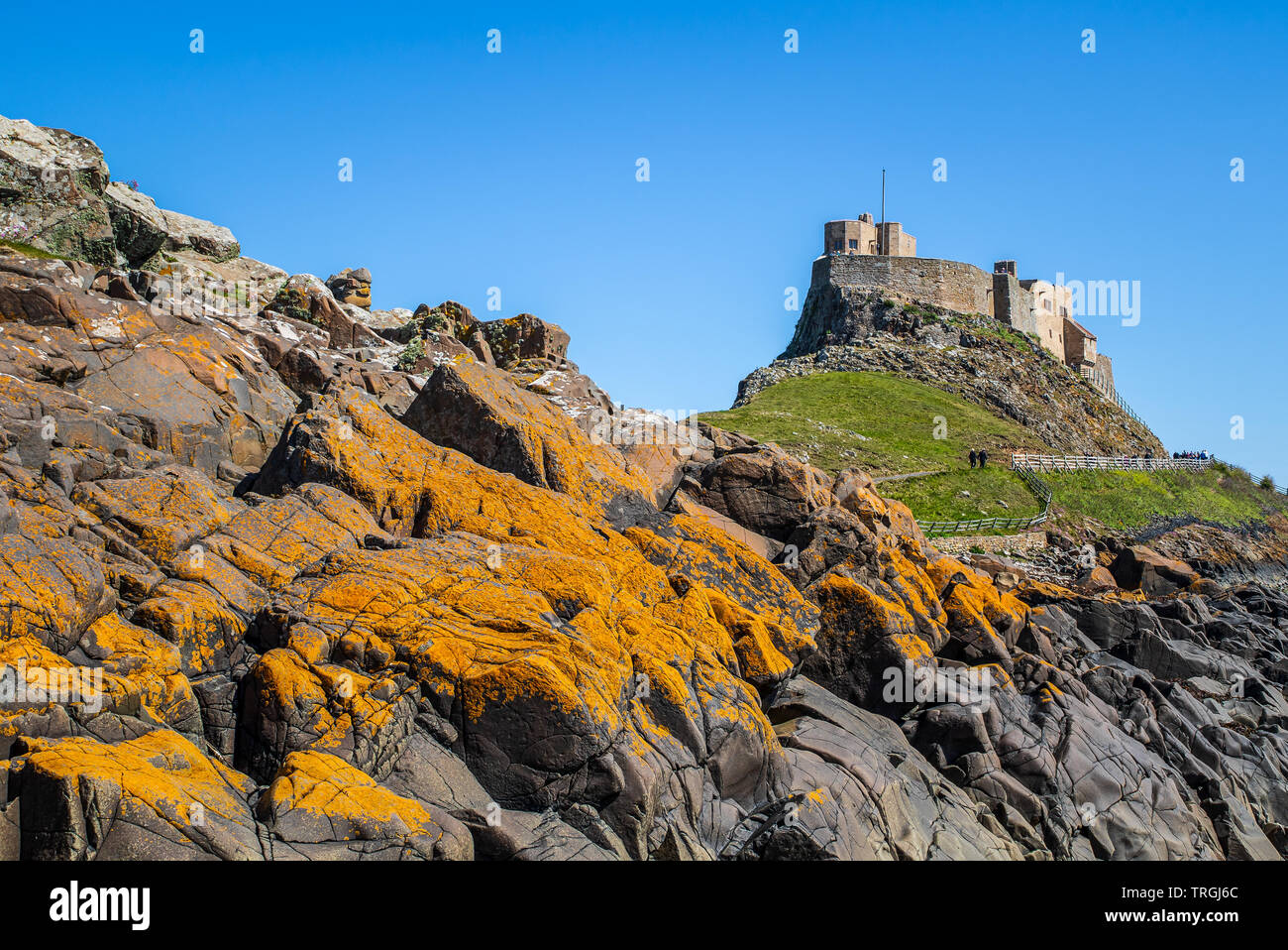Lindisfarne castle on holy island in Northumberland, Holy Island is a ...
