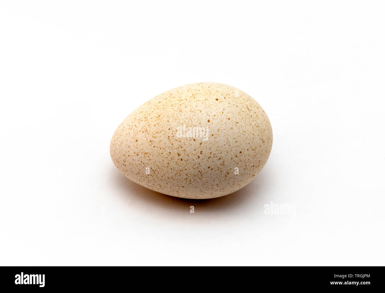 Egg shell background hi-res stock photography and images - Alamy