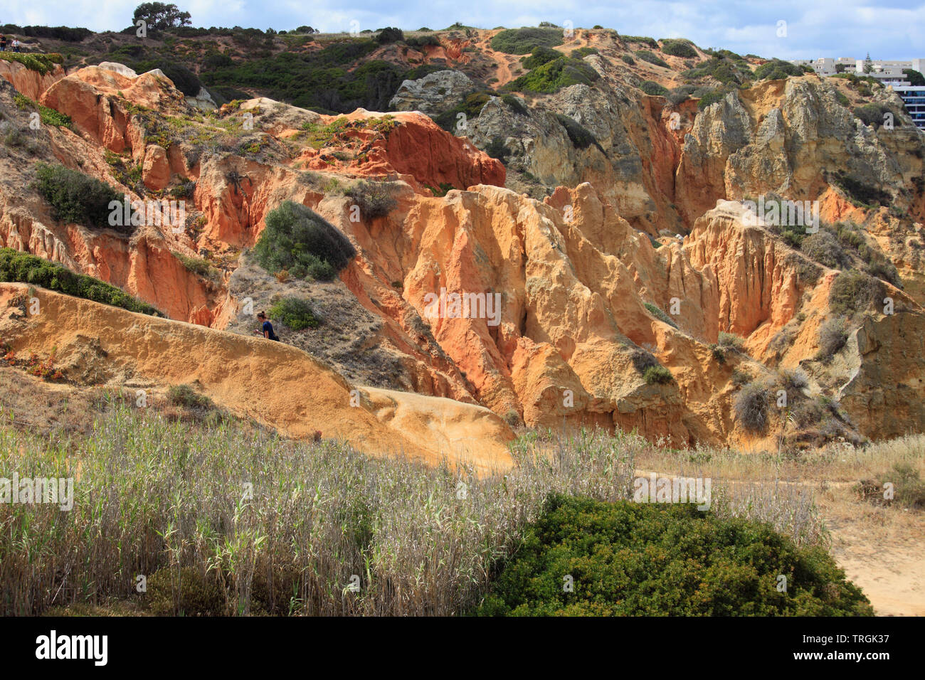 Portugal, Algarve, Lagos, Praia do Camilo, cliffs, scenery Stock Photo ...