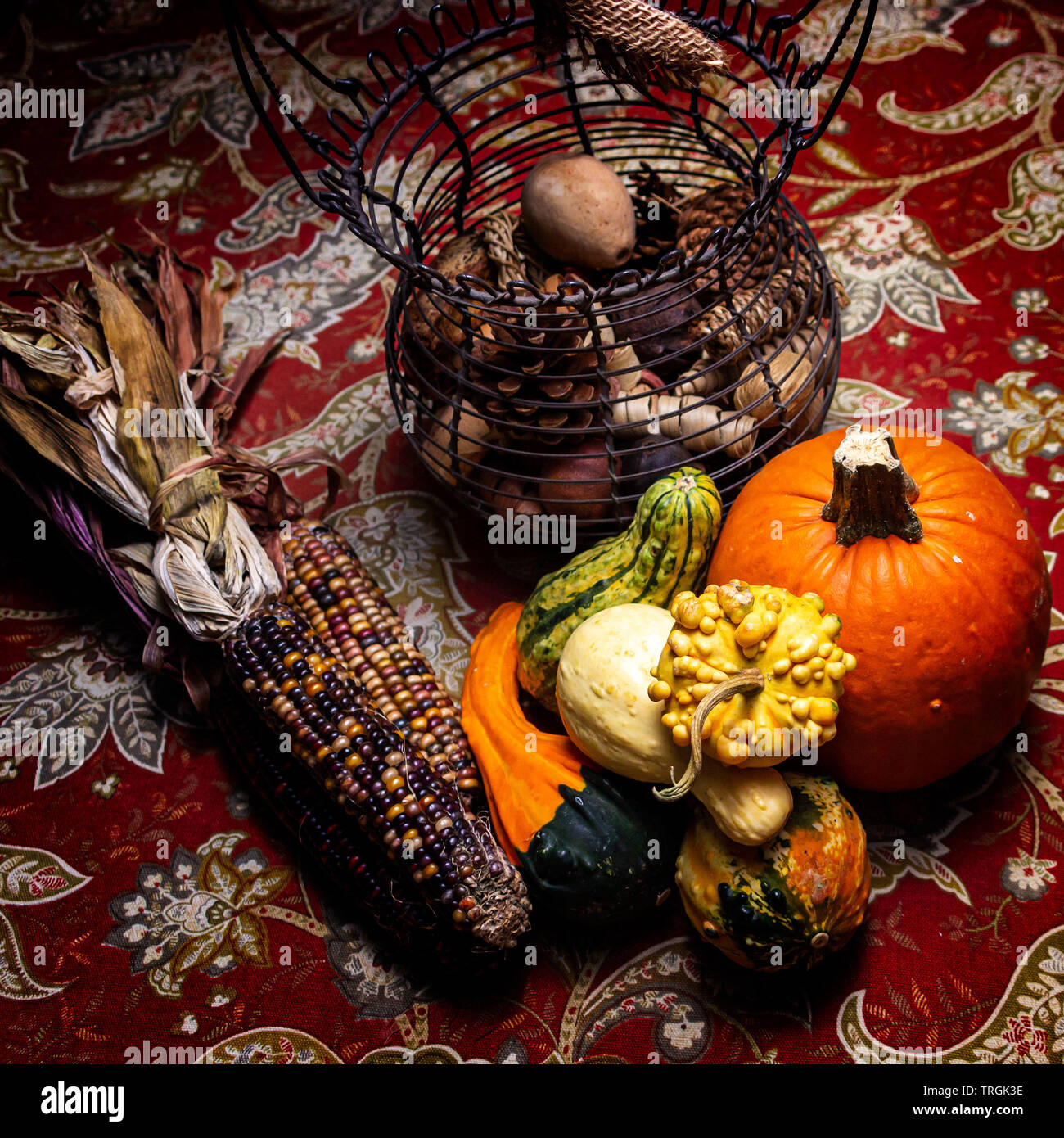 Colorful gourds and squash, pumpkins, and flint corn lie on a table ...