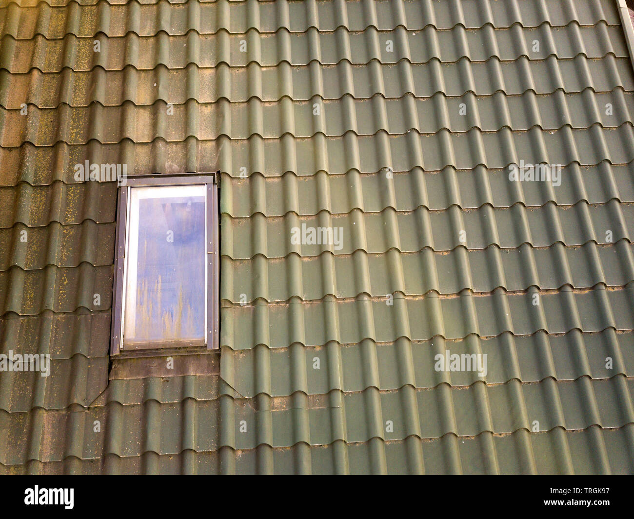 Close-up of new attic plastic window installed in shingled house roof ...
