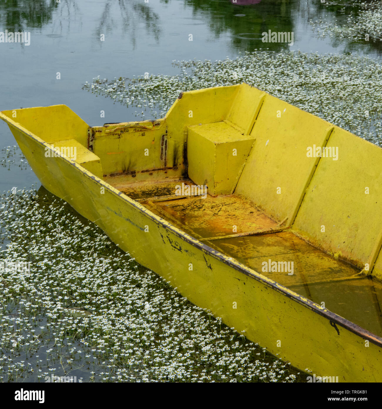 Small Lake Fishing Boat