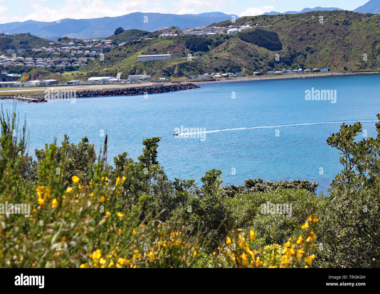 A motor boat speeds across Lyall Bay in WellingtoN, New Zealand. The ...